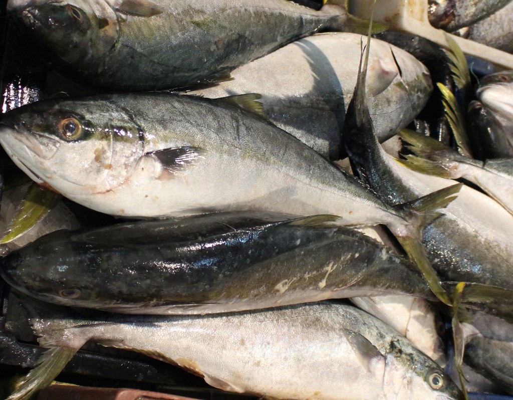 El pescado, un alimento imprescindible en la dieta habitual - La Voz ...