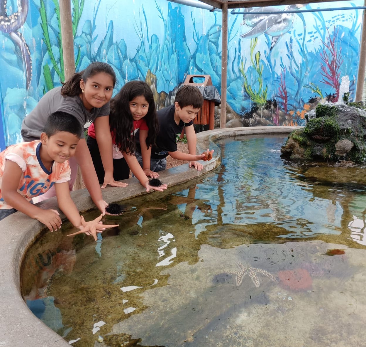La Universidad Católica del Norte reabrió Acuario del Campus Guayacán ... La Universidad Católica del Norte reabrió Acuario del Campus Guayacán ...